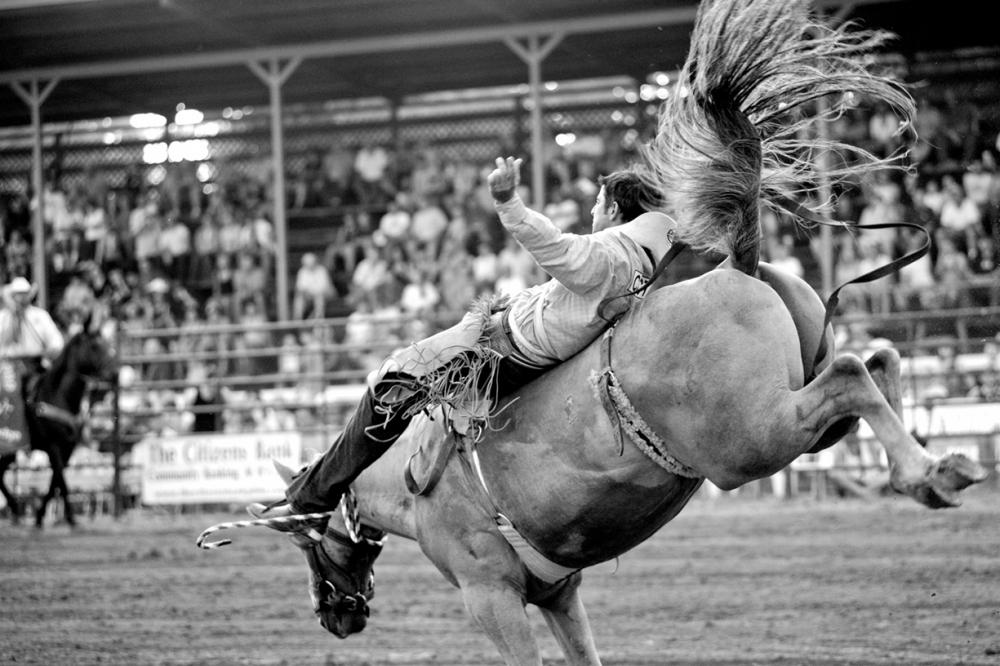 United States | Very Close and Personal: The 2010 Neshoba County Fair ...