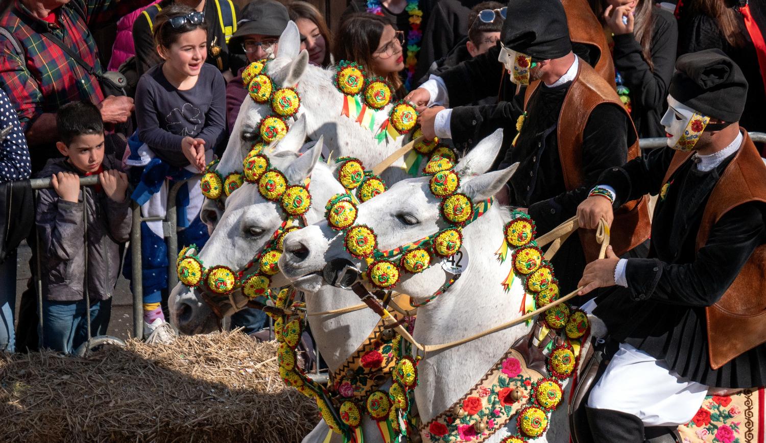 Italy | Sardegna Carnevale: Land of Bitter Honey | Susan Ressler ...