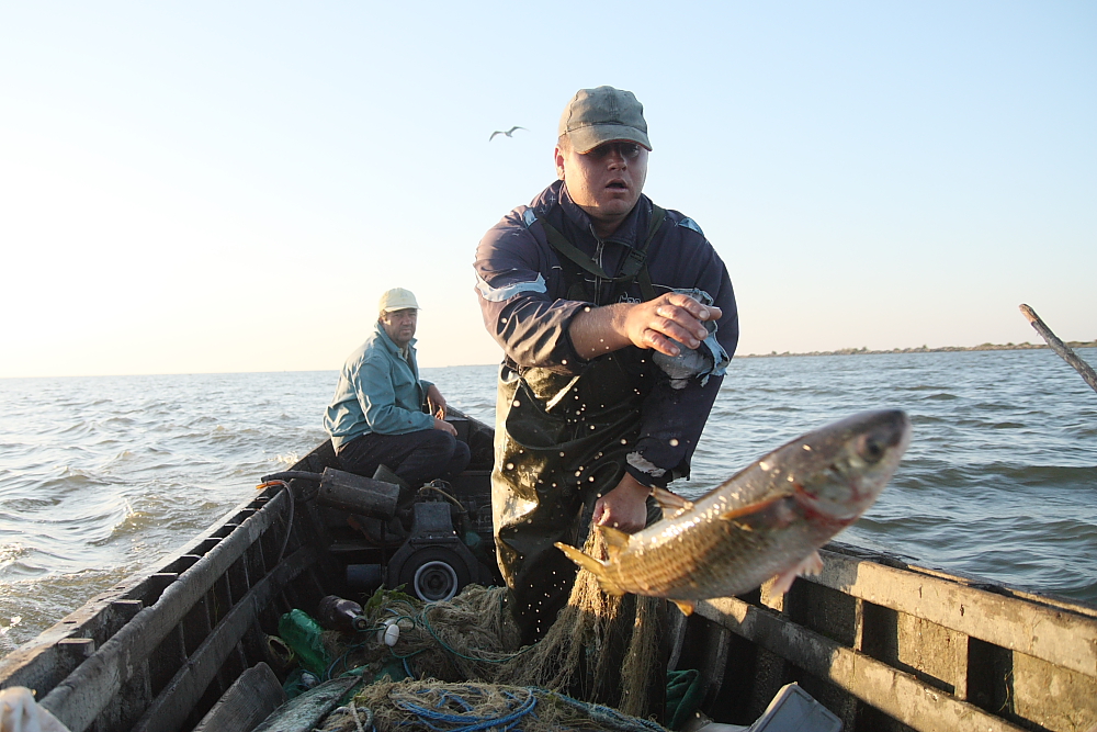 Romania | Homeland - Danube Delta | Alex Tomazatos | SocialDocumentary.net