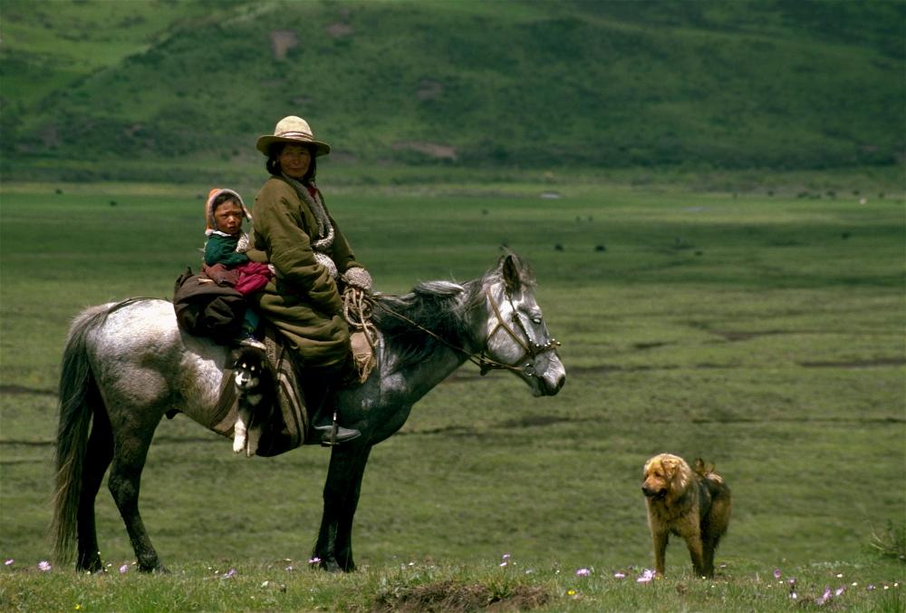 China | Searching for Grass and Water: Tibet's Last Nomads | Daniel ...