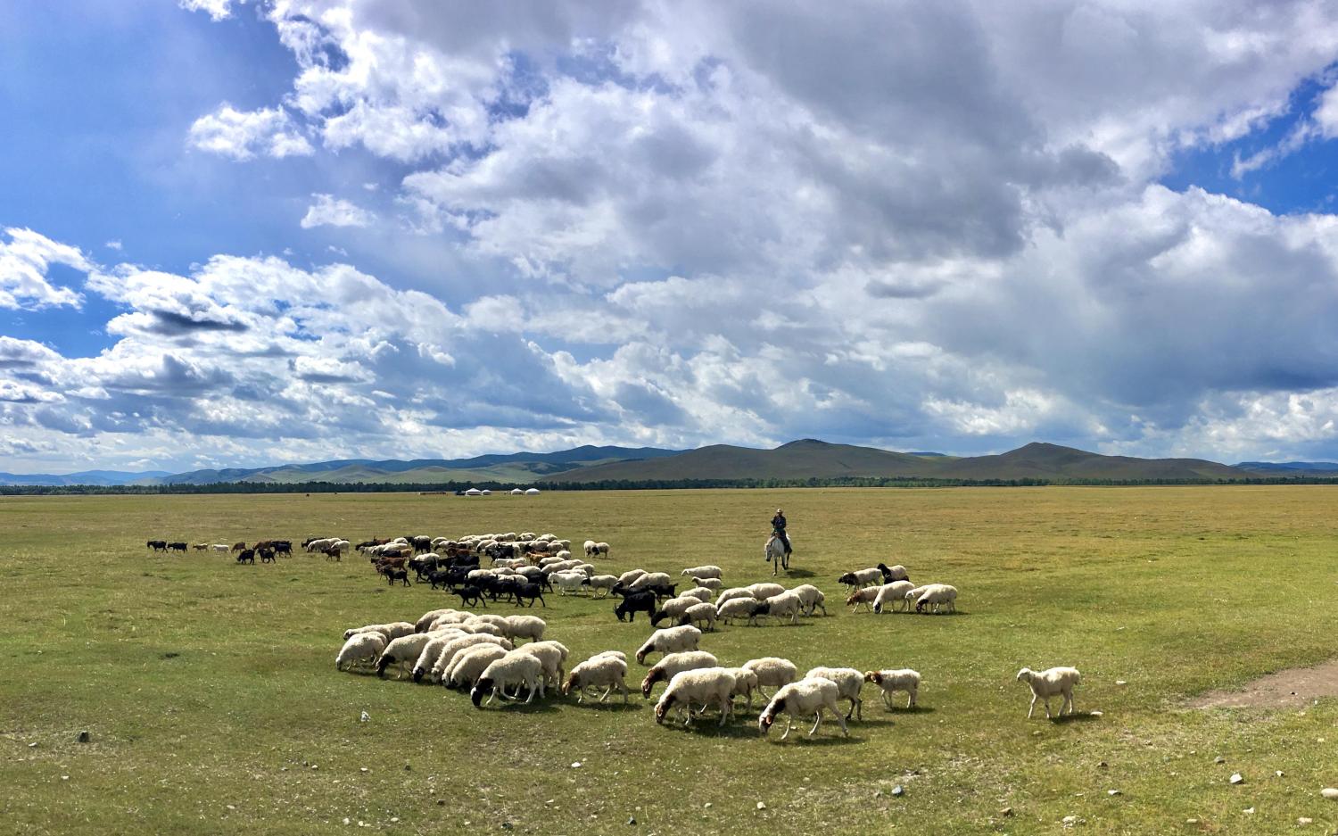 Mongolia | The Mongolian Steppe: A Threatened Ecosystem | Daniel Miller | SocialDocumentary.net