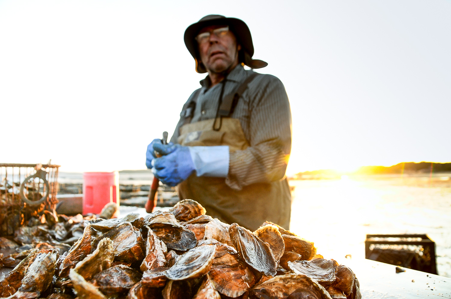 United States | A Tide of Uncertainty: Shellfish Farming in Wellfleet ...