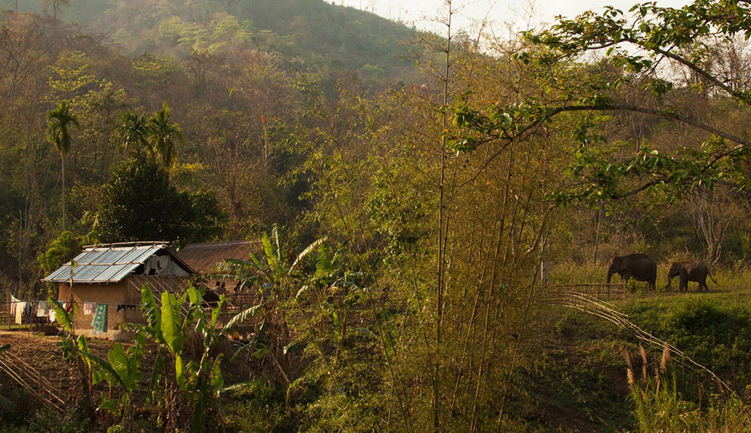 India | Indigenous Tribes Living With India's Elephants | Annette ...