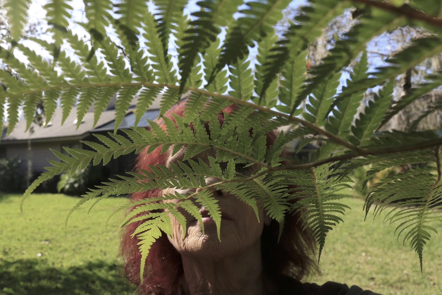 United States | Silver Revolution Self-Portraiting | Linda Troeller ...