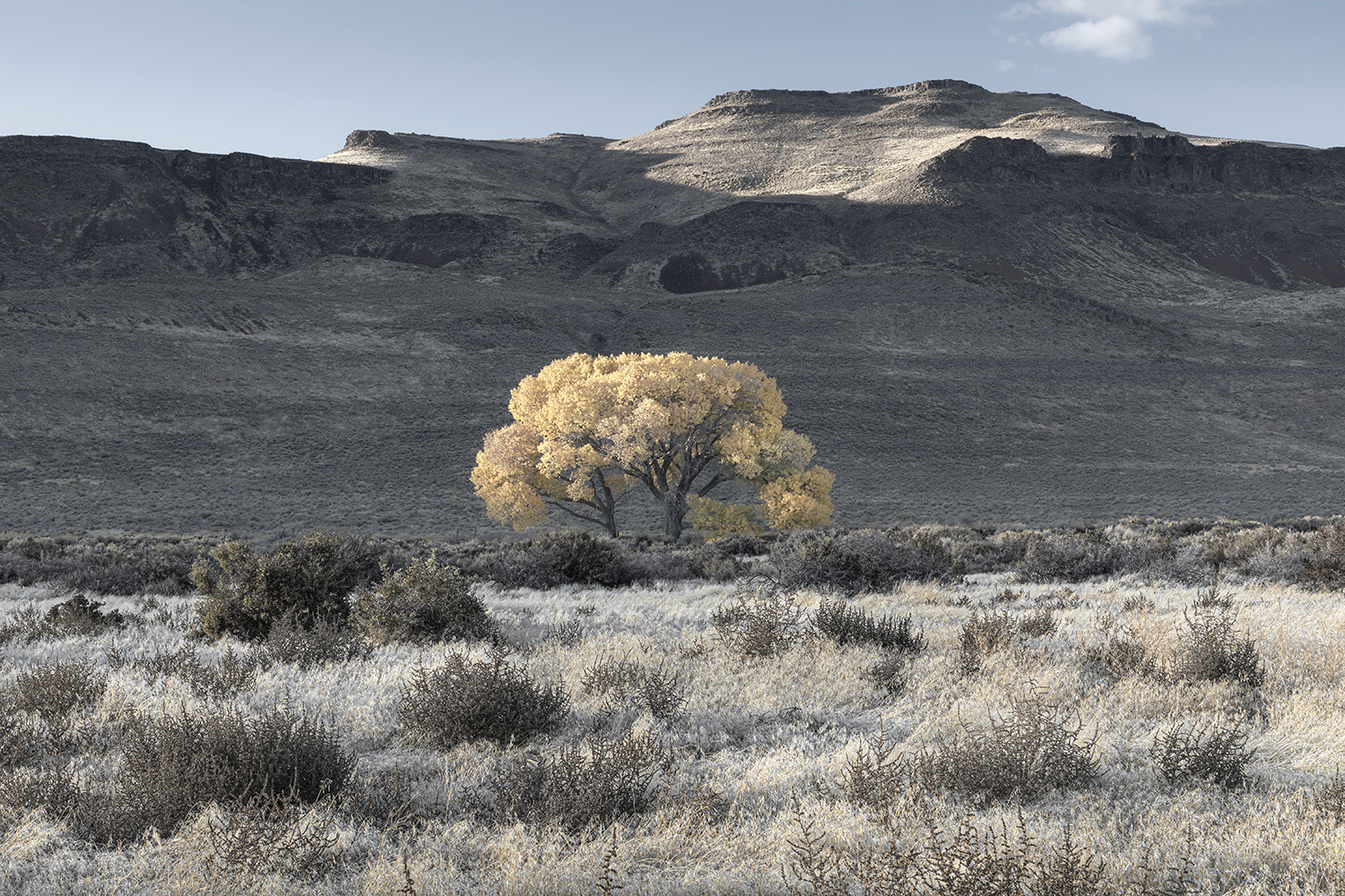 United States | Hidden Waters / Dryland Springs of the West | Bremner ...