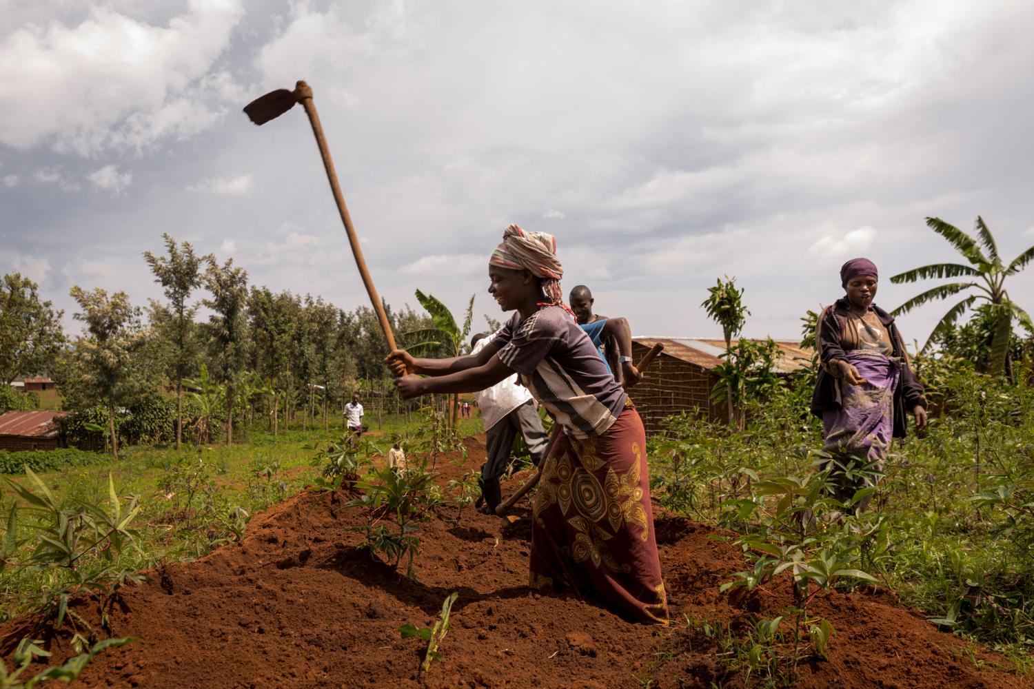 Congo | Women of the Congo: Farmers, Harvesters, Mothers | Maranie ...