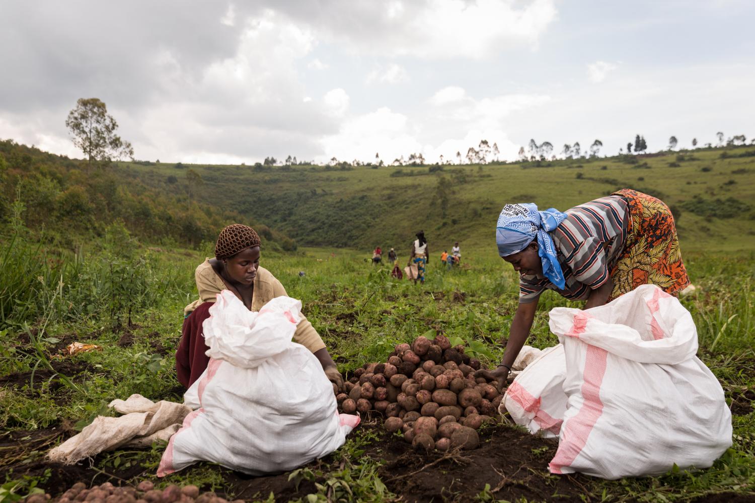 Congo | Women of the Congo: Farmers, Harvesters, Mothers | Maranie ...