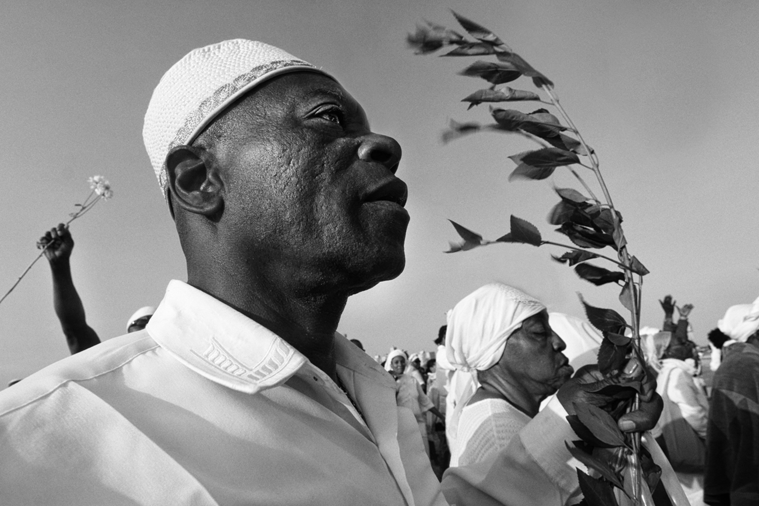 United States | MAAFA ( The Great African Tragedy) | Lisa DuBois ...