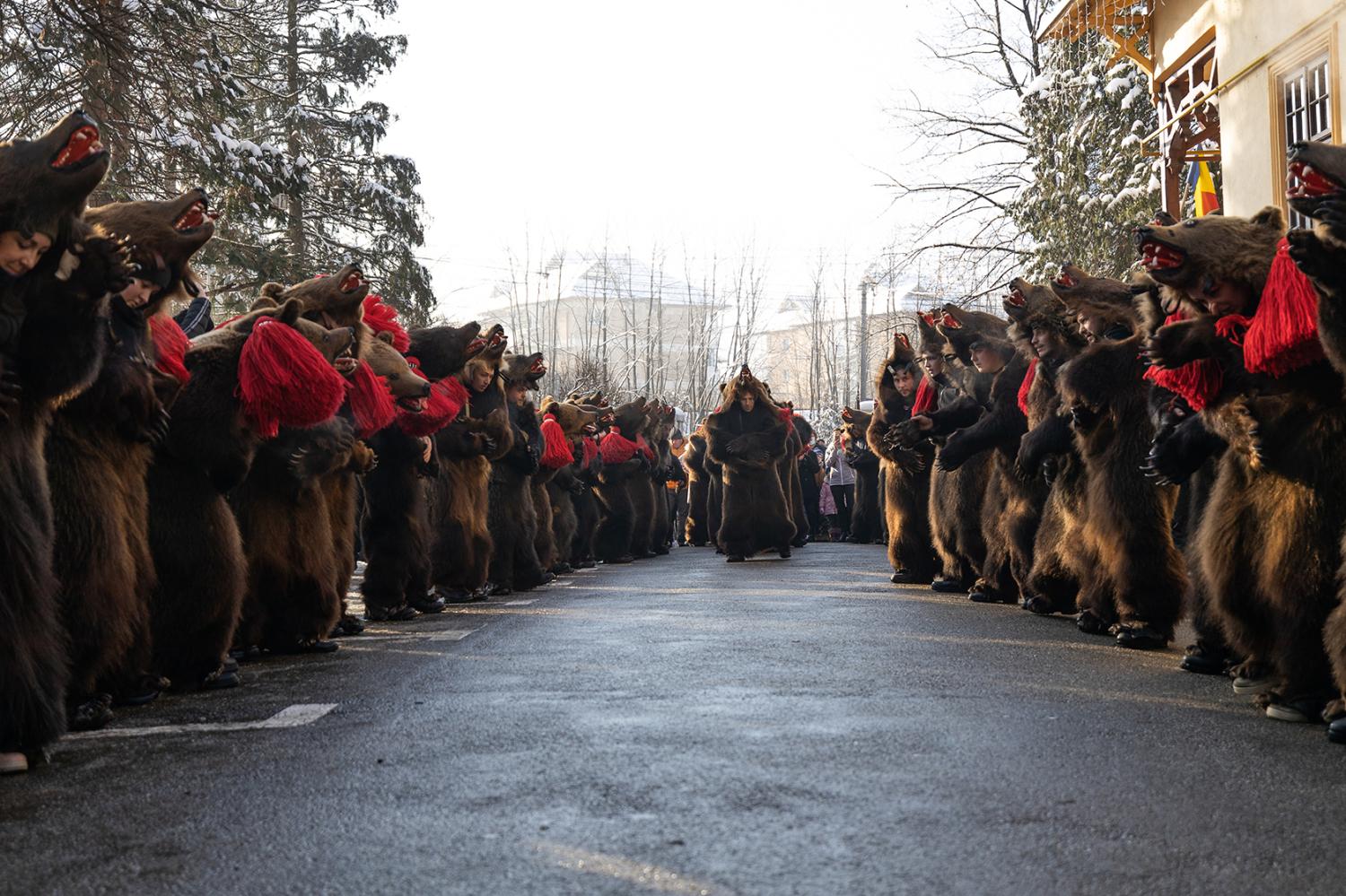 Romania | In the Land of the Bears | Vicentiu Burlacu ...